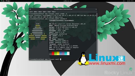 Rocky Linux Centos