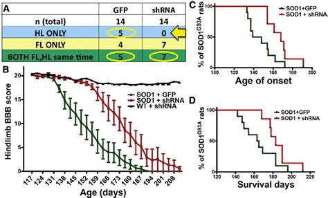 Local Suppression Of Mutant Misfolded Sod1 Protein In The Posterior Download Scientific