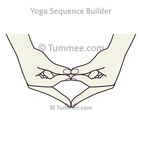 Gesture Of Diamond Yoga Vajra Mudra Yoga Sequences Benefits