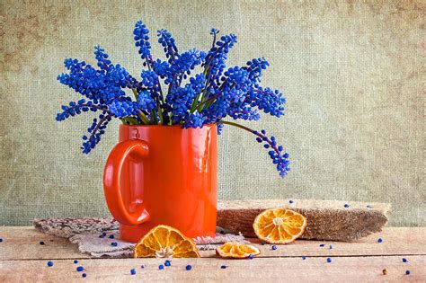 Split Complementary Color Photography