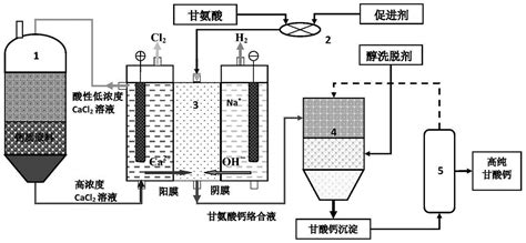 一种电化学 络合反应技术制备高纯甘氨酸钙的工艺的制作方法