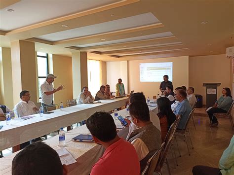 Plgsp Transitional Provincial Annual Strategic Implementation Plan P