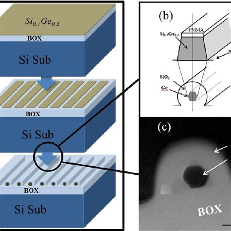 A Sem Image Of Tio2 Nanowire Gas Sensor B Xrd Patterns Of Tio2 Thin