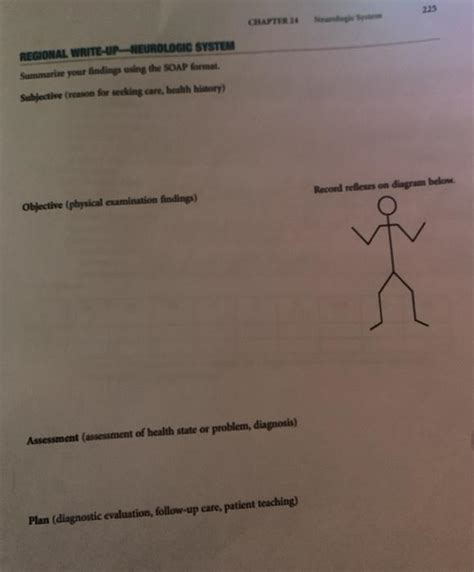 Solved 225 Chapter Regional Write Up Neurologic System