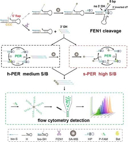 Highly Sensitive Flow Cytometry Biosensor With A High Signal To