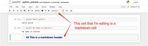 how to write and run code in jupyter notebook edlitera