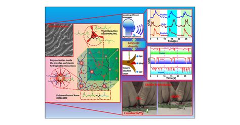 Flexible Ionic Conductive Hydrogels With Wrinkled Texture For Flexible Strain Transducer With
