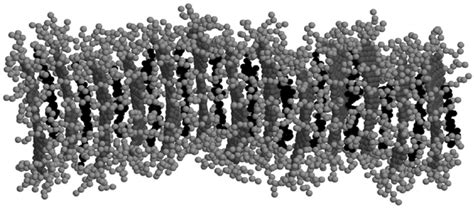 Snapshot Of The Column Of Graphene Sheets Formed In The System With 45