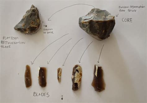 EVERYTHING ABOUT ARCHAEOLOGY WHAT IS THE CORE REJUVENATION FLAKE