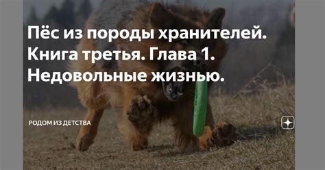 Пёс из породы хранителей. Книга третья. Глава 1. Недовольные жизнью ...
