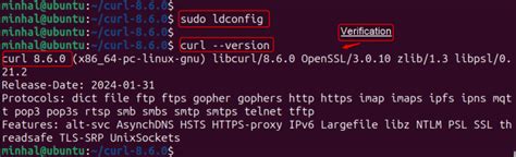 How To Install And Use Curl On Ubuntu 24 04 Linux Genie