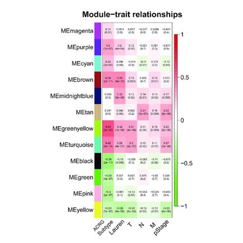 Heatmap Of The Correlation Between Mes And Clinical Traits The Download Scientific Diagram