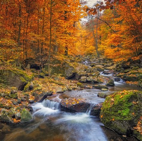 A New Hope For Shutting Down The Dakota Access Pipeline Sierra Club