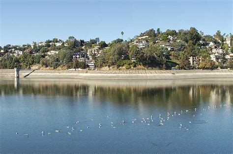 Silver Lake Reservoir Los Angeles 2026 Images Timings Holidify