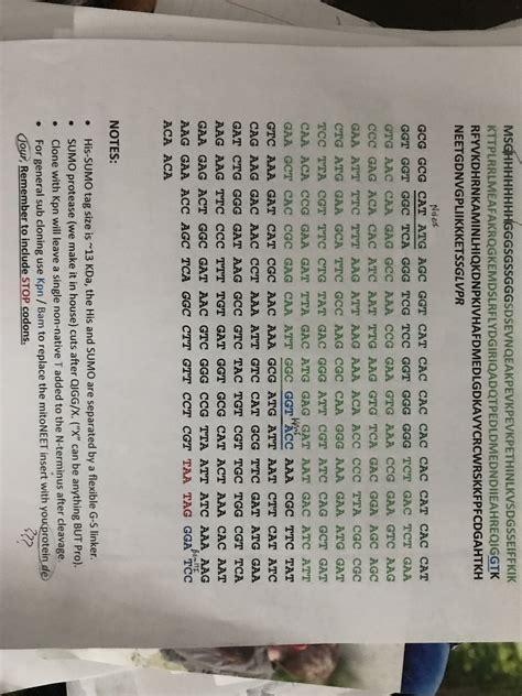 Can 1 1 Buffer Neb Be Used With A Digest Using Kpn1 And Bamh1