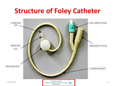 Urinary Catheter Care Skills And Asepsis