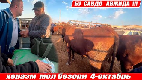 ХОРАЗМ МОЛ БОЗОРИ БУГУН САВДО АВЖИДА 4-ОКТАБРЬ БОГОТ ! - YouTube