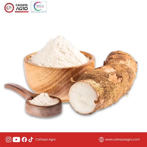 Nutrisi Tersembunyi Kekuatan Singkong Untuk Kesehatan Generasi Muda Cahaya Agro