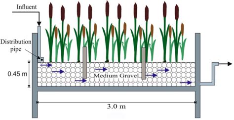 Schematic Layout Of The Hsf Cw Unit Download Scientific Diagram