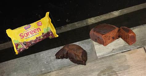 Wait The Dirty Turd In Jesters Was Actually A Dirty Soreen Loaf