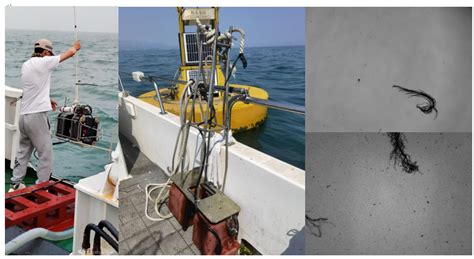 海洋浮游生物原位监测 冷源安全监测预警 海洋生态调研 灾害生物预警 海洋牧场监测 深圳市绿洲光生物技术有限公司