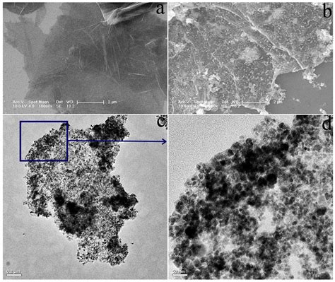 Adsorption Of Trace Estrogens In Ultrapure And Wastewater Treatment Plant Effluent By Magnetic