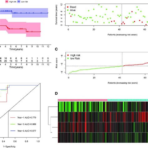 Survival Analysis Results Of A Risk Scoring Model For Tcga Osteosarcoma