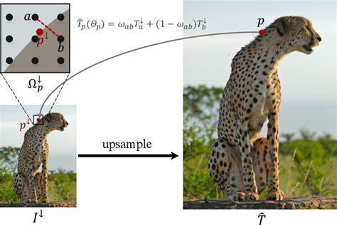 Guided Linear Upsampling Paper And Code Catalyzex