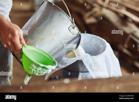 The Process Of Making Cheese An Unrecognizable Male Farmer Pouring