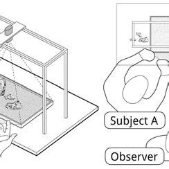 Task Environment And Setup Download Scientific Diagram
