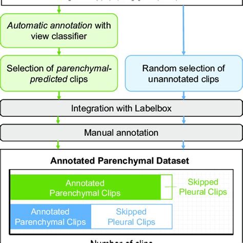 Annotation Workflow With Green And Without Blue Automatic View