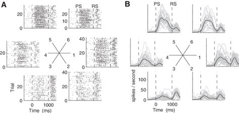 Single Trial Responses Of One Neuron In The Complete Information Download Scientific Diagram