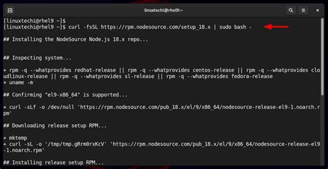 如何在 RHEL 9 上安装 Node js LinuxStory