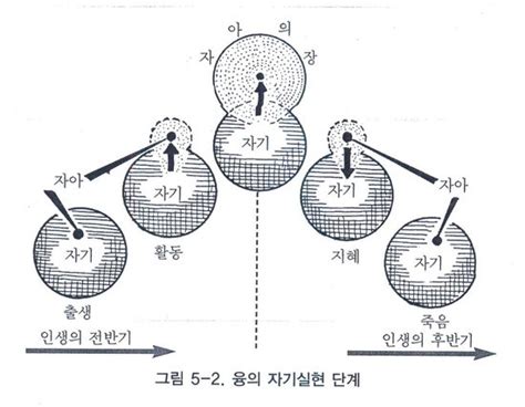 융의 분석심리학에서의 성격발달 네이버 블로그