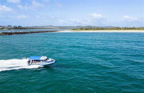 Ocean Explorer Tour Tinggly