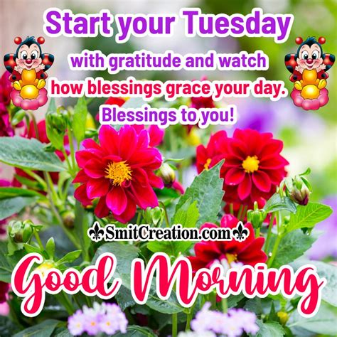 Good Morning Tuesday Blessings Smitcreation Com