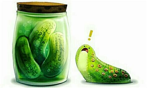 Морские огурцы: растение, животное или блюдо? • СПАДИЛО