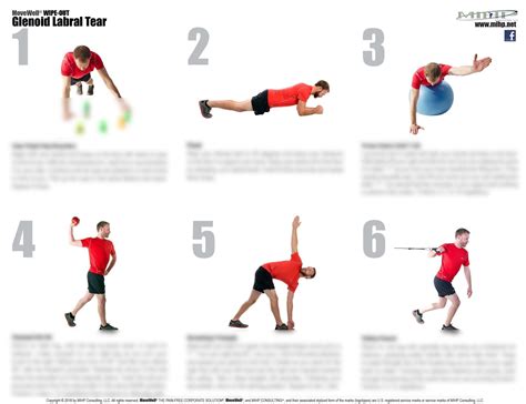 Wipe Out Glenoid Labral Tear Movewell Academy