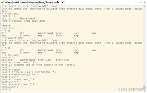 内核实验三编写简单Linux内核模块使用Qemu加载ko做测试 阿里云开发者社区