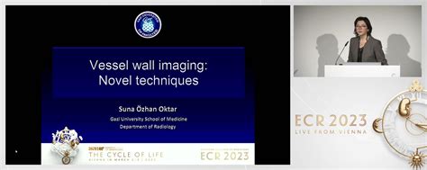 Vessel Wall Imaging And Vulnerable Plaque Characterisation Esr Connect