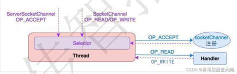 Websocket 与 Netty性能 Websocket Netty区别mob6454cc7901c3的技术博客51cto博客