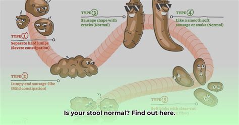 Understanding And Managing Moderate Stool Burden The Green Grid