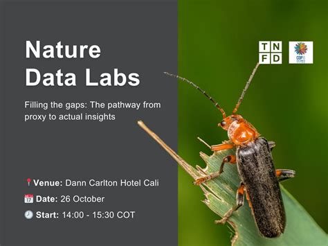 Data Lab Filling The Gaps The Pathway From Proxy To Actual Insights