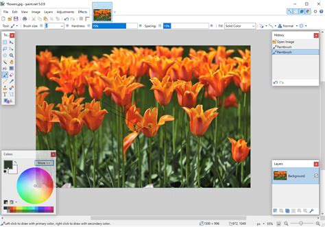Paint NET 5 1 8 Neowin