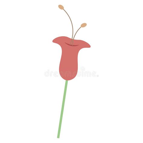 Red Bell Flower With Stem Vector Stock Vector Illustration Of