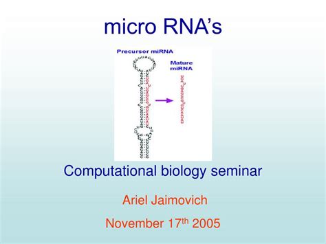 PPT Micro RNAs PowerPoint Presentation Free Download ID