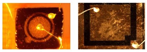 Investigation And Manufacture Of Czt And Cdte Sensors Scientific Researching Laboratory Of New