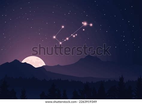 Constellation Scheme Collection Stars Night Sky Stock Vector Royalty Free 2263919349