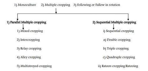 Cropping Pattern And Cropping System Meanings Differences And Examples