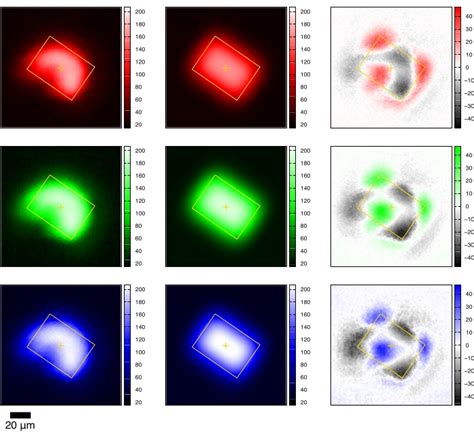 On Chip Crystallization And Large Scale Serial Diffraction At Room